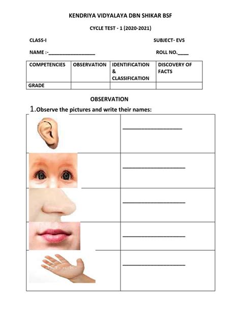 Cycle Test 1 Evs Pdf