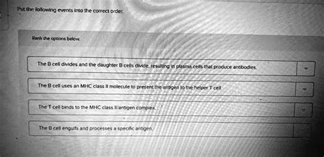 Solved Put The Following Events Into The Correci Order Rank The Optlonsbelow The B Cell