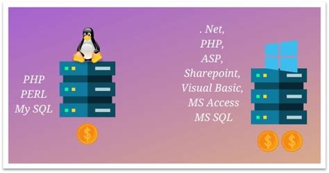 Difference Between Linux And Windows Hosting TezHost