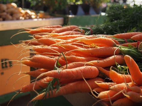 무료 이미지 꽃 식품 생기게 하다 야채 해물 당근 자나 호리 아스 셀로 우어 4608x3456 584788 무료 이미지 Pxhere