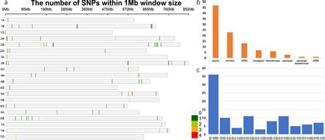 Characteristic Features Of The Chip A The Number Of Snps On