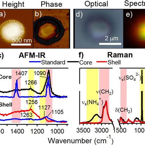 Pdf Atomic Force Microscopy Infrared Spectroscopy Of Individual Atmospheric Aerosol Particles