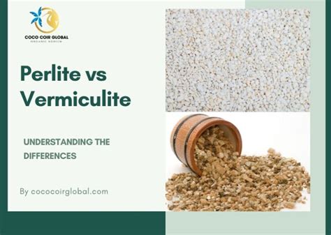 What Is Coconut Fiber A Versatile And Sustainable Soil Substitute