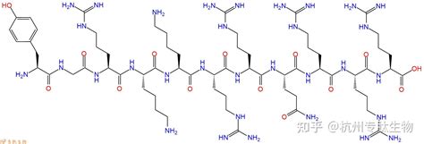 细胞穿膜肽TAT47 57TAT YGRKKRRQRRR 知乎