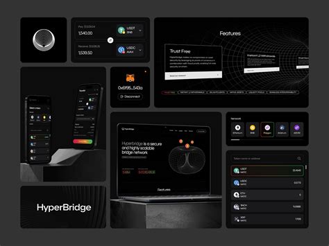 Hyperbridge Protocol By Serhii Antoniuk For Kreyda On Dribbble