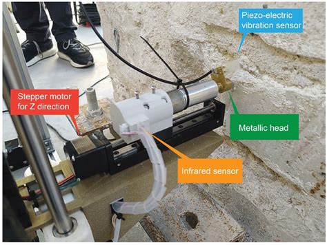 Exploring The Internals Of Trees With Sound Hackaday Io