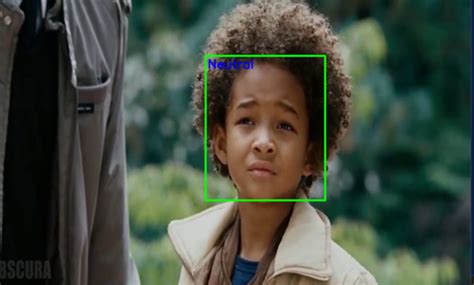 GitHub Chndpreeti Emotion Detection CNN A Python Application That Detects Face And Classifies