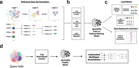 Singleron Biotechnologies On Linkedin Devcellpy Is A Machine Learning Enabled Pipeline For