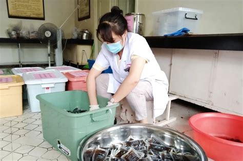 喝护健康 白银区每天熬制5千份中药汤剂送疫线 凤凰网视频 凤凰网