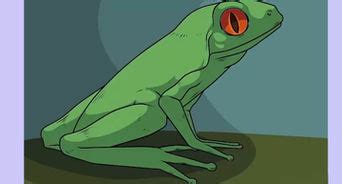 How To Draw A Grasshopper 5 Steps With Pictures WikiHow