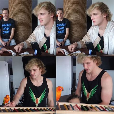 Pin By Gracie Lewis On Logan Paul Logan Paul Logan Mavericks