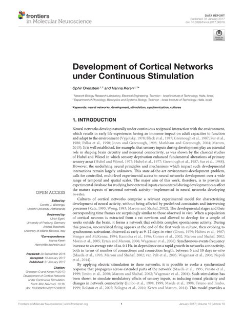Pdf Development Of Cortical Networks Under Continuous Stimulation