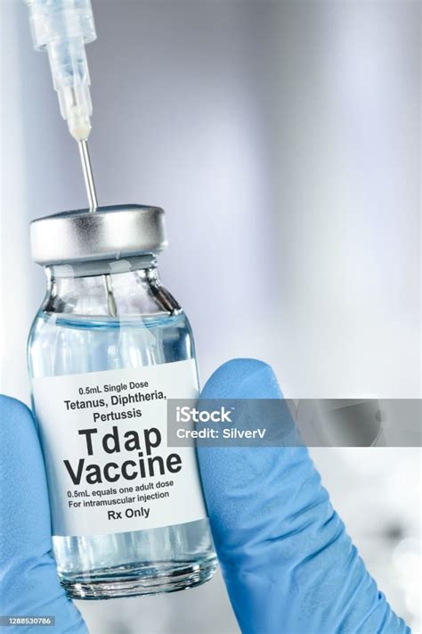 Tdap 파상풍 디프테리아 및 백일해 또는 백일해 백신 바이알 및 주사기 바늘을 들고 있는 파란색 의료 장갑을 손에 들고 있는