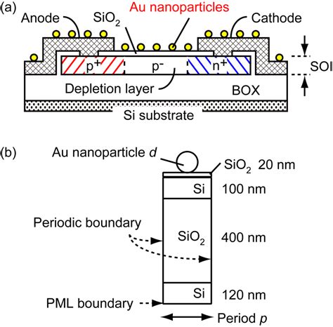 A Schematic Cross Sectional Image Of Lateral Pin Soi Photodiode With Download Scientific