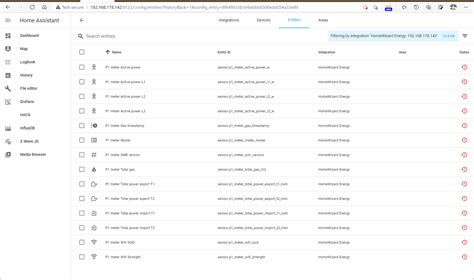 HomeWizard Energy Wi Fi P Meter KWh Meter Energy Socket And Water Meter Share Your