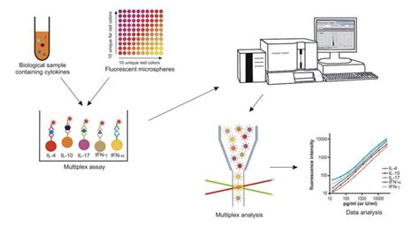 What Is A Multiplex Assay At Gustavo Gomez Blog