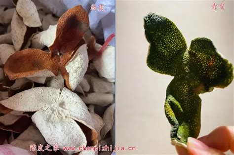 陈皮的不同年份有什么区别 陈皮之家