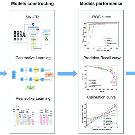 Visualization Of Data Augmentation The First Row A Is The Roi Of A