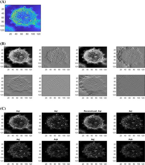 a rgb image b quaternion fast fourier transform r i j k and its