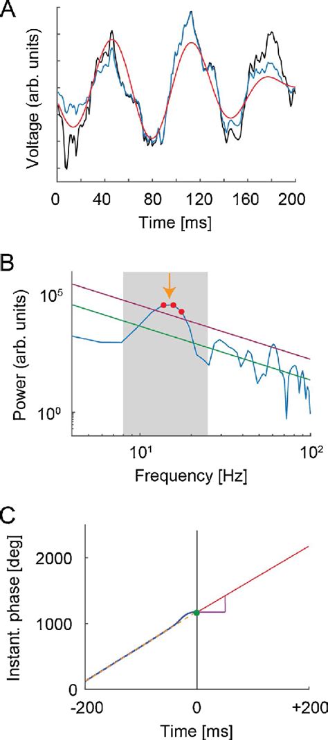 Illustration Of Signal Processing Oscillation Detection And Phase Download Scientific Diagram