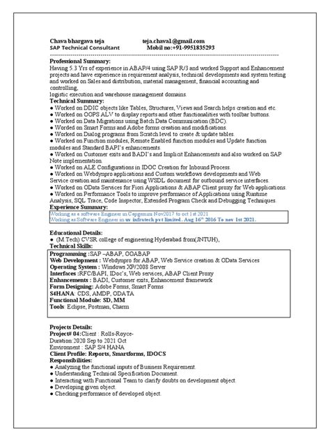 Abap Profile Pdf Software Engineering Computing