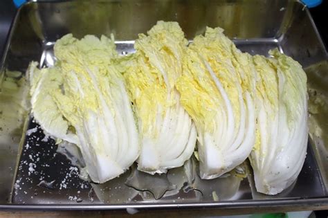 알배추 김치 한 포기 김치 만들기