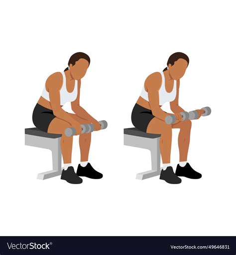 Woman Doing Seated Dumbbell Palm Down Wrist Curls Vector Image