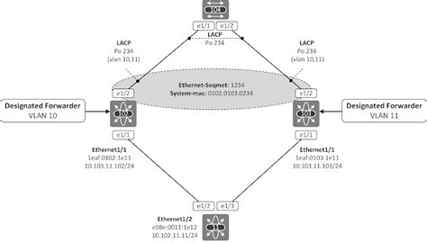 The Network Times Evpn Esi Multihoming Part I Evpn Ethernet Segment