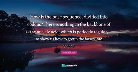 how is the base sequence divided into codons there is nothing in the