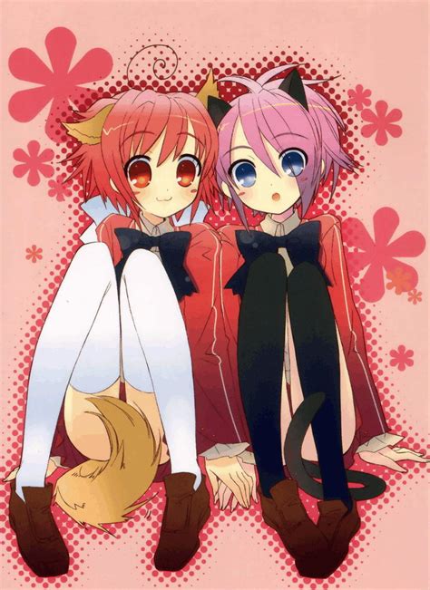 Anime Animal Girls Photo 4010830 Fanpop