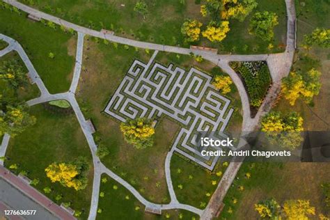 키예프의 여름 녹색 풍경 공원에서 미로 길 나무 덤불로 둘러싸인 울타리의 미로 드론 보기 미로찾기에 대한 스톡 사진 및 기타