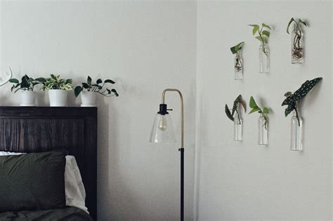 Dollar Store Diy Propagation Wall