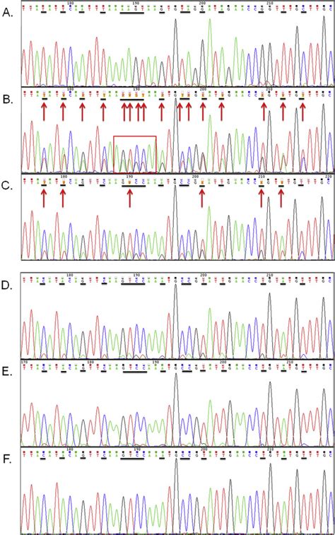 Standard Sanger Sequence Analysis Is Inefficient At Detecting Mutations