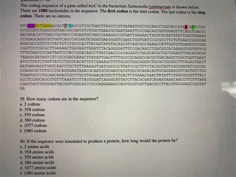 Solved The Coding Sequence Of A Gene Called His In The Chegg Com
