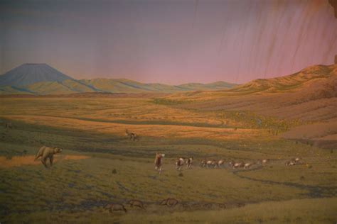 Rattlesnake Assemblage John Day Fossil Beds National Monument Us National Park Service