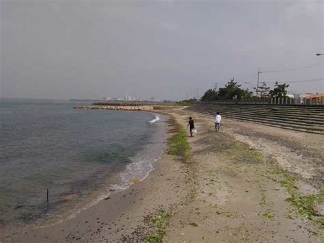 ちょい投げで楽しいキス釣り塩屋海岸愛媛県松前町 釣りぽ 釣りぽ TSURIPO