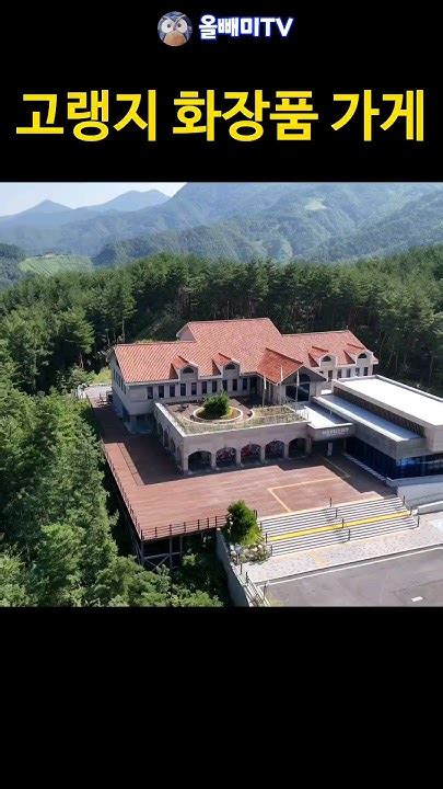 세금 100억 날린 고랭지 뷰티 화장품 가게 폭망 Youtube