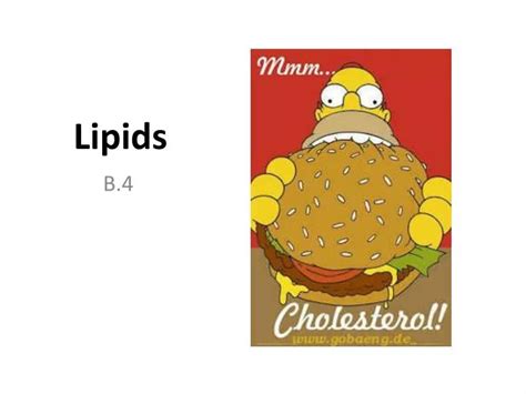 PPT Lipids PowerPoint Presentation Free Download ID 2419995