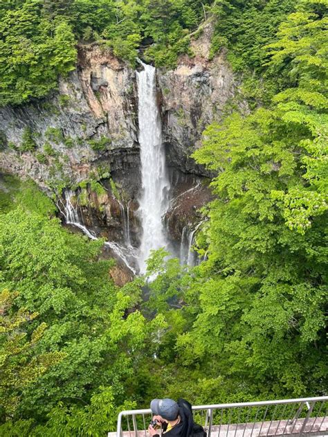 イワツバメが集まる華厳の滝 観光情報 ホテル花庵 中禅寺湖温泉公式