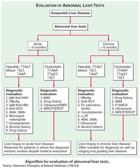 Algorithm For Evaluation Of Abnormal Liver Tests