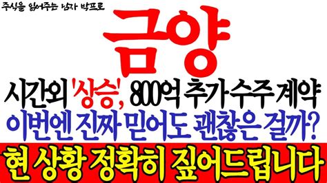 금양 주가전망 속보 시간외 상승 800억 추가 수주 계약 이번엔 진짜 믿어도 괜찮은 걸까 현 상황 정확히 짚어드립니다 금양 금양주가전망 Youtube