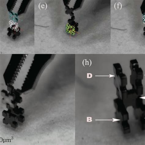 The CAD Computer Aided Design Model Of The MEMS Microstructure Download Scientific Diagram