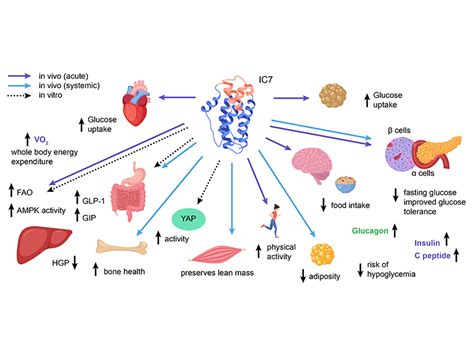 Ella Marushchenko On Twitter Tips For Designing Figures For Your Manuscript Sciart 1 Keep