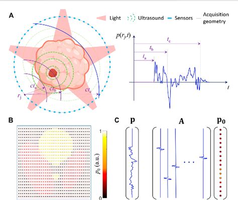 figure 1 from a practical guide for model based reconstruction in optoacoustic imaging