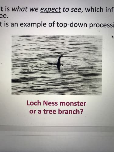 Sex Gender Identity Flashcards Quizlet Sex Gender Identity Flashcards Quizlet