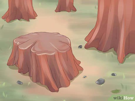 Ways To Catch A Deer WikiHow