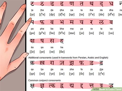 How To Learn Tamil With Pictures Wikihow