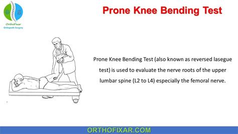 Manual Muscle Testing Grading Mmt Grades Orthofixar 2025