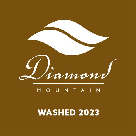 파나마 에스메랄다 다이아몬드 마운틴 워시드 2023 생두 커피플랜트 생두몰