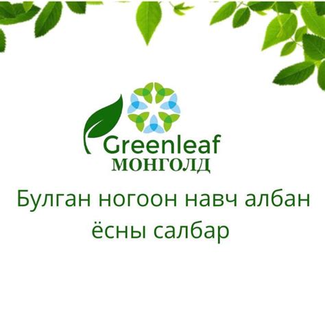 Ногоон Навч Булган Салбар